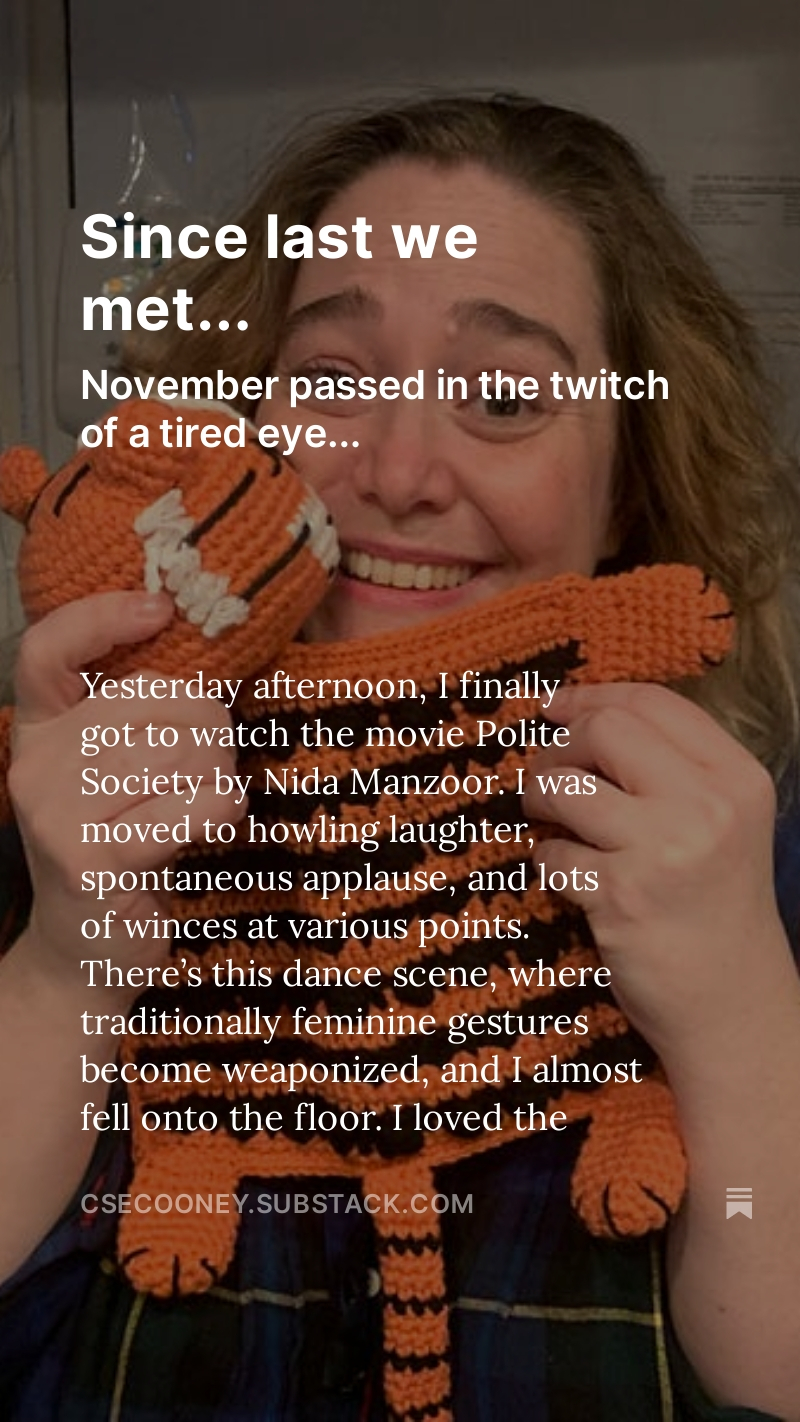 My December Newsletter… | C.S.E. Cooney